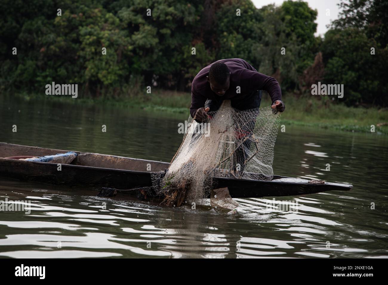 Nicolas Remene / Le Pictorium - Fishing and suffocation of the Niger ...