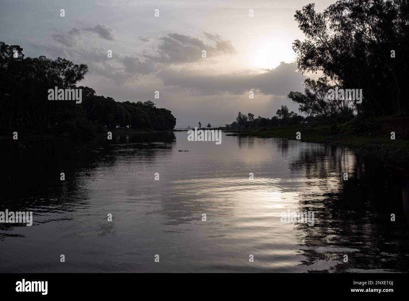 Nicolas Remene / Le Pictorium - Fishing and suffocation of the Niger ...