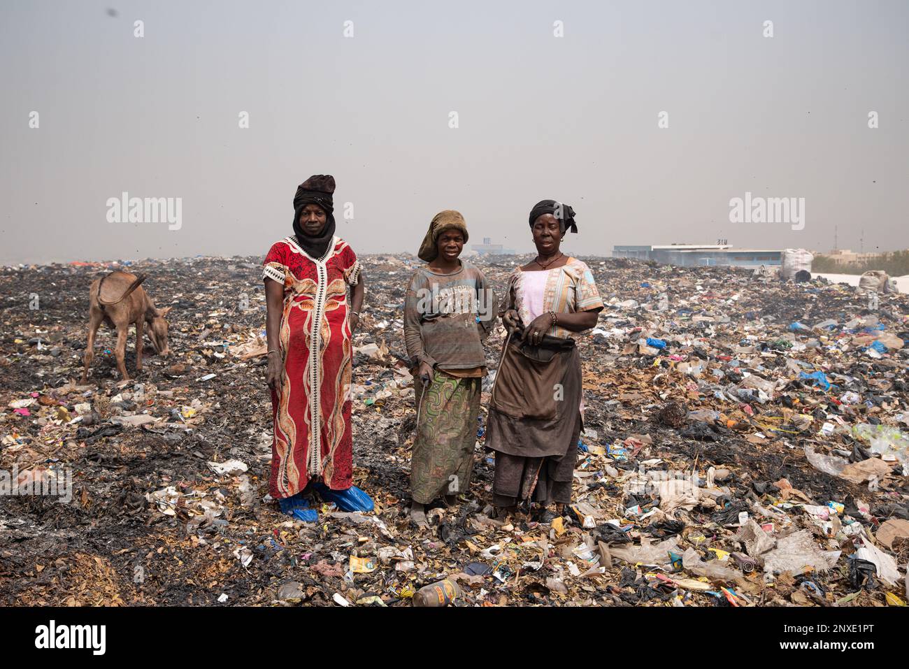 Nicolas Remene / Le Pictorium - Bamako - Mali: Urbanisation ...