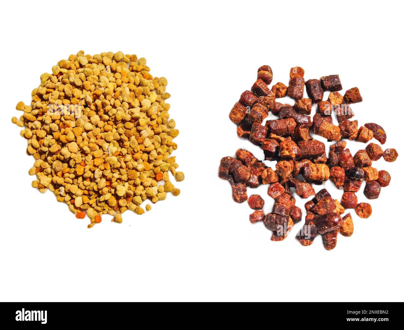 raw polyflor bee pollen and bee bread (pastura) isolated on white Stock ...