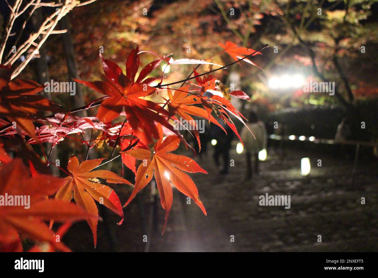 Eikando temple in kyoto hi-res stock photography and images - Alamy
