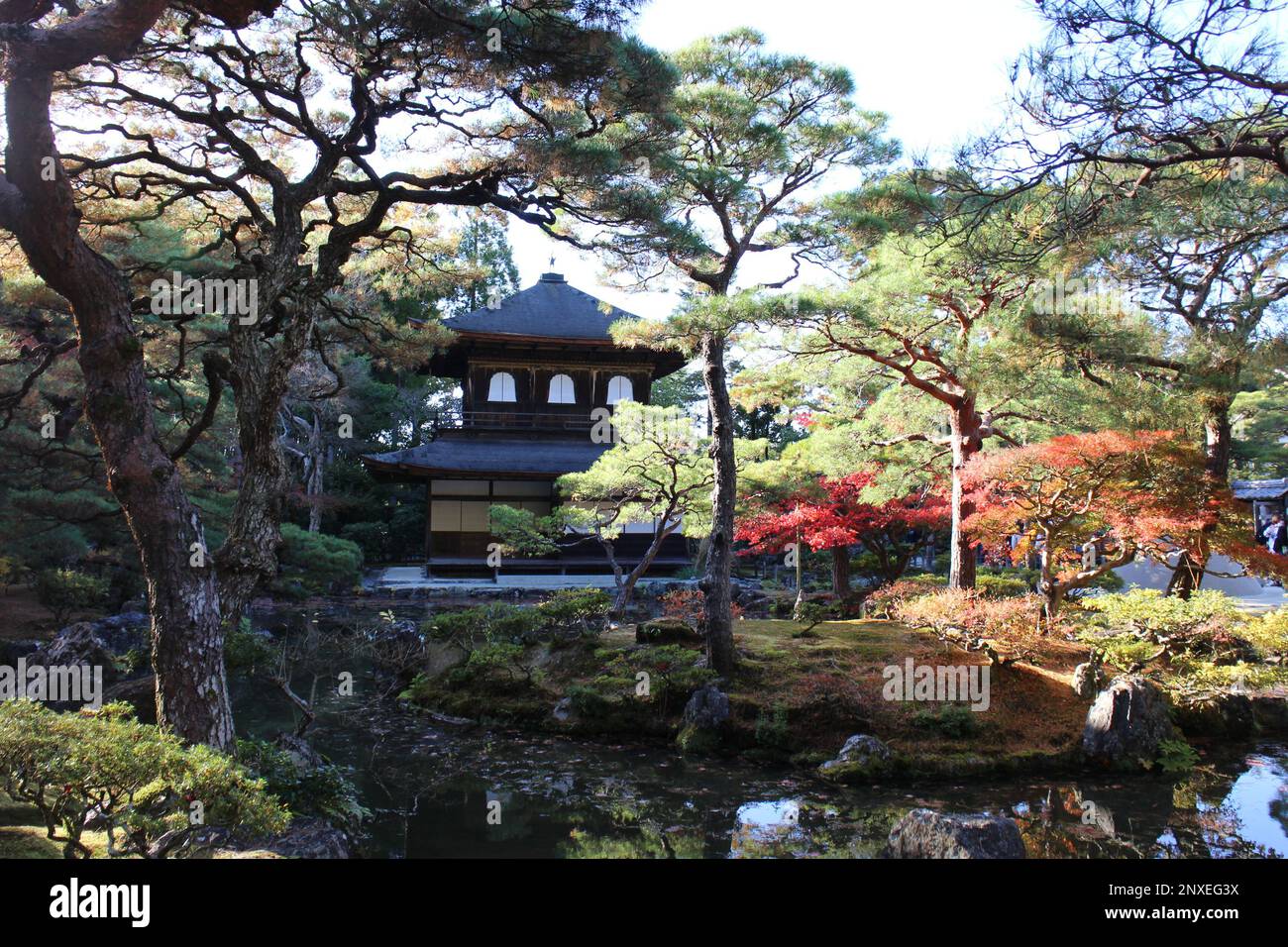 Autumn leaves ginkakuji temple hi-res stock photography and images - Alamy