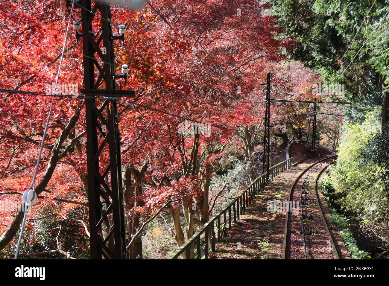 Autumn leaves viewed from Hieizan cable car in Kyoto, Japan Stock Photo ...