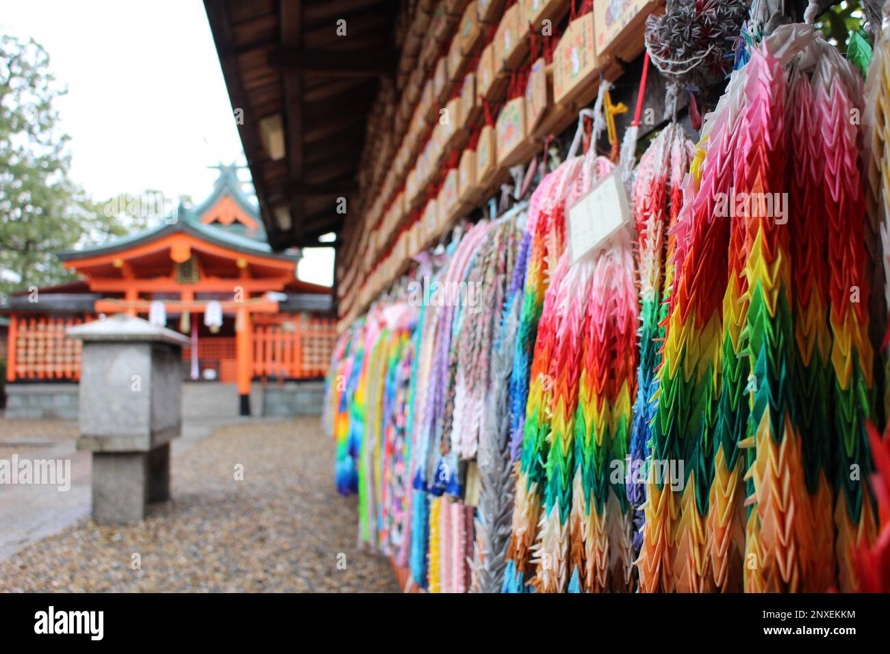 Thousand paper cranes in Fushimi Inari Shrine, Kyoto, Japan Stock Photo ...