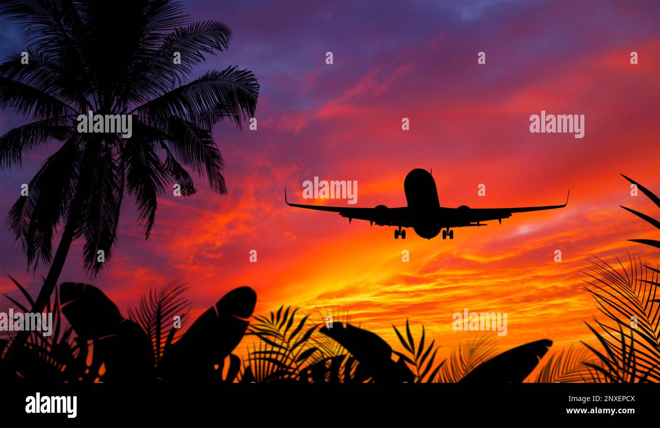 Passenger Airplane In Approach for Landing with Beautiful Sunset and ...