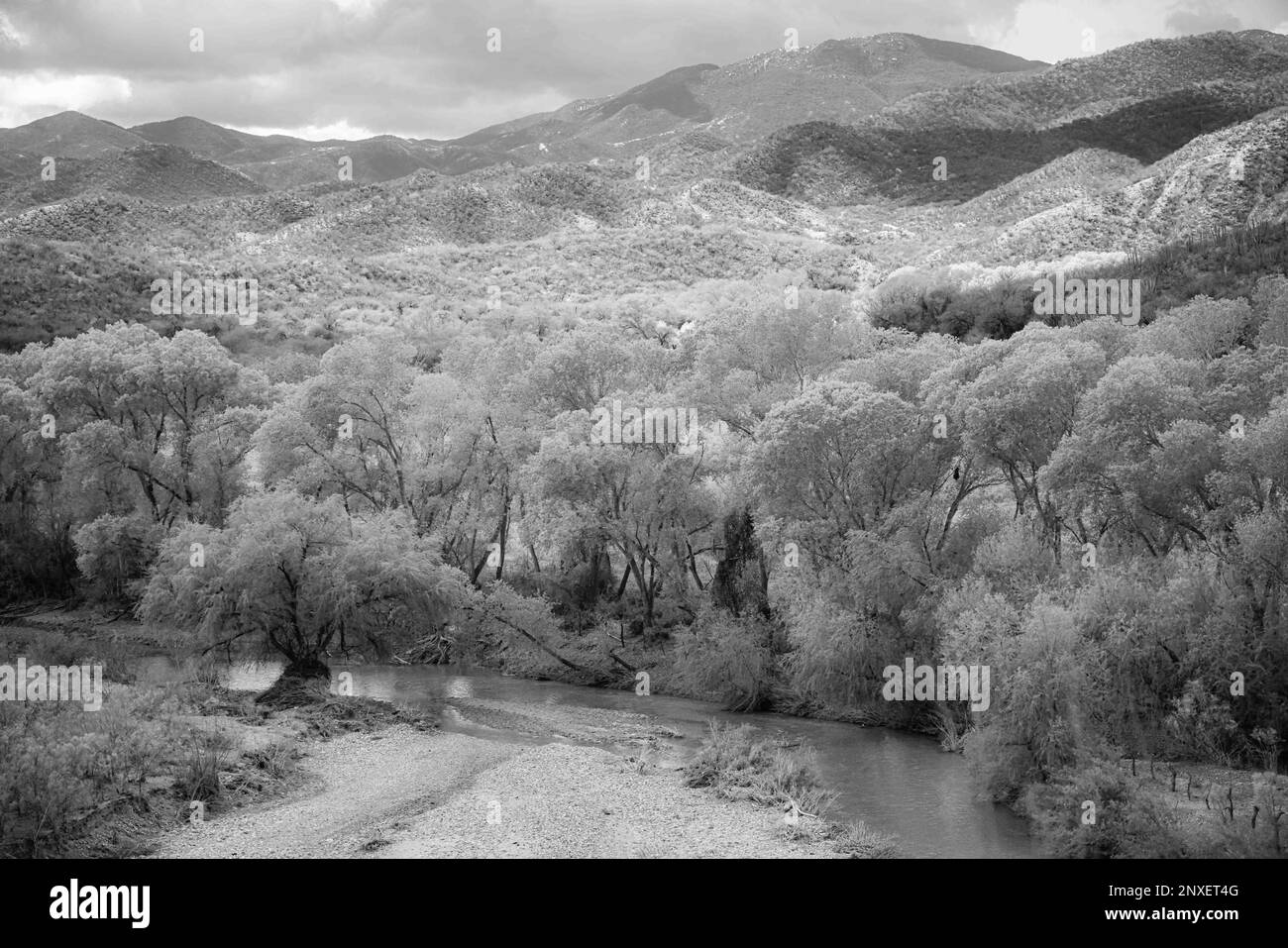 cloudy landscape with trees Alamo de rio or Sicomoro a valley between ...