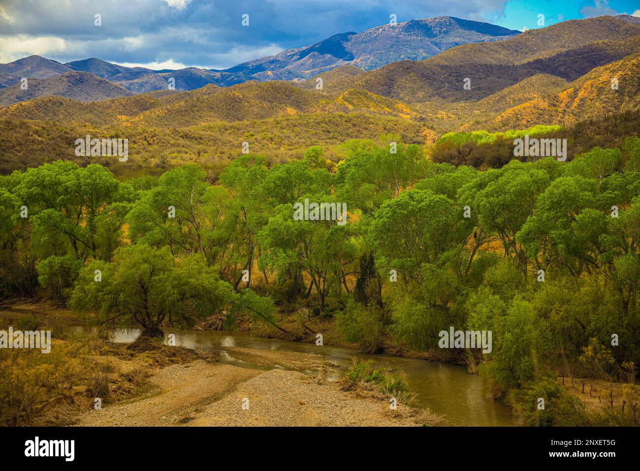 cloudy landscape with trees Alamo de rio or Sicomoro a valley between ...