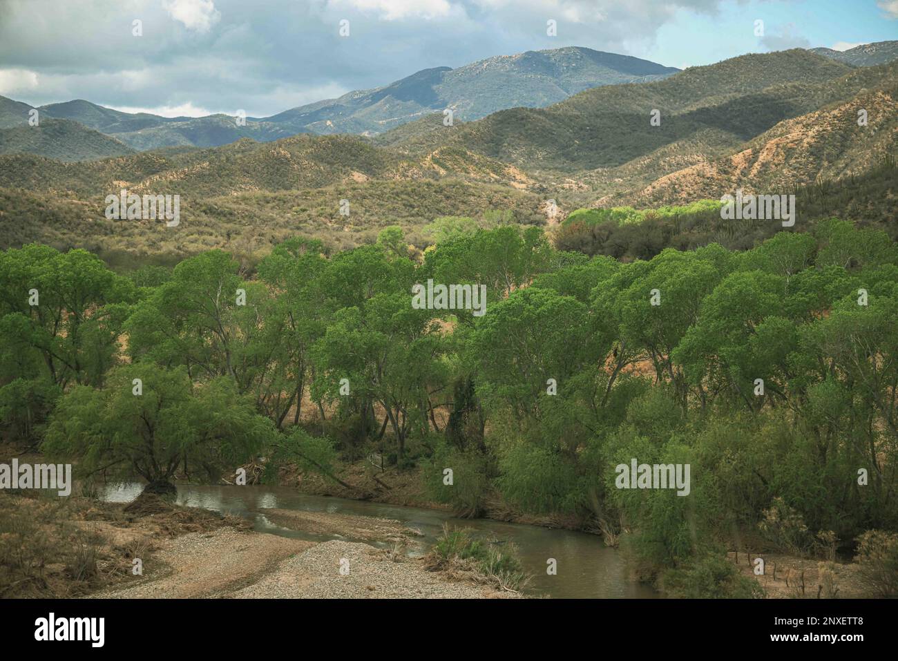 cloudy landscape with trees Alamo de rio or Sicomoro a valley between ...