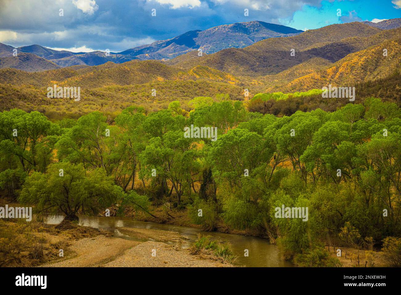 cloudy landscape with trees Alamo de rio or Sicomoro a valley between ...
