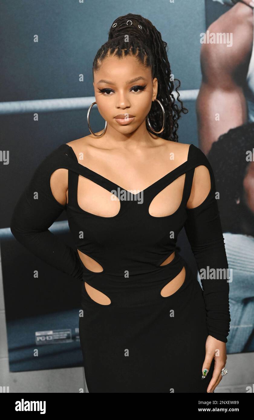 HOLLYWOOD, CALIFORNIA - FEBRUARY 27: Chloe Bailey attends the Los Angeles Premiere of "CREED III ...