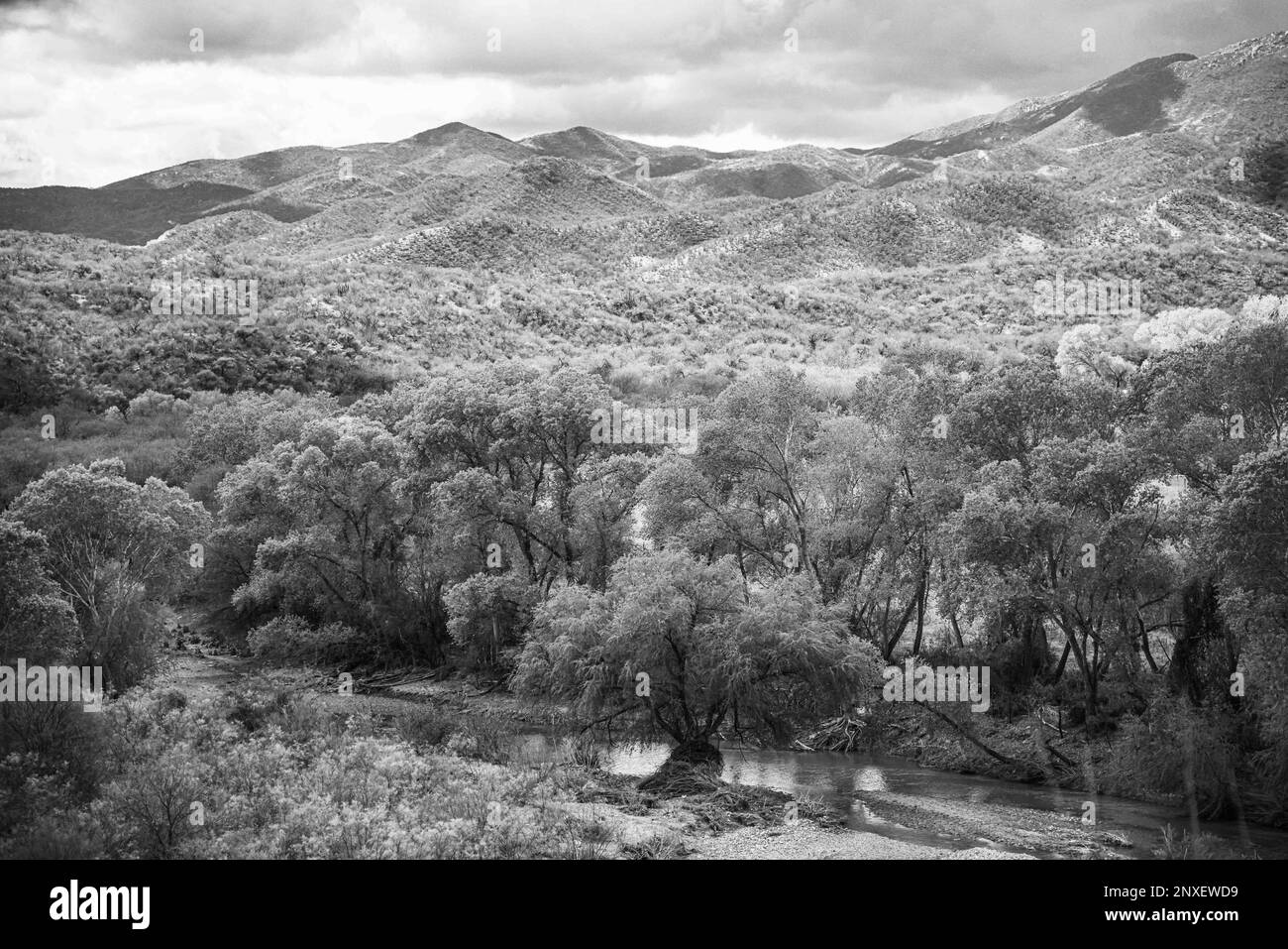 cloudy landscape with trees Alamo de rio or Sicomoro a valley between ...