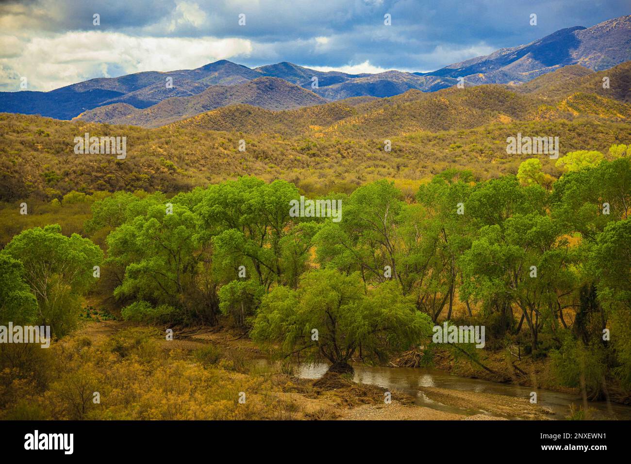 cloudy landscape with trees Alamo de rio or Sicomoro a valley between ...