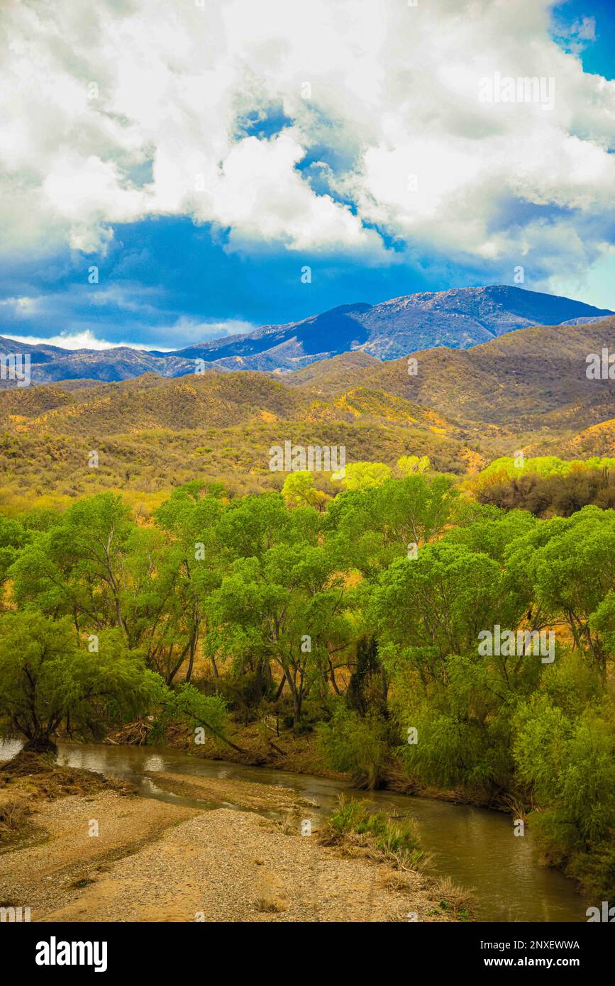 cloudy landscape with trees Alamo de rio or Sicomoro a valley between ...