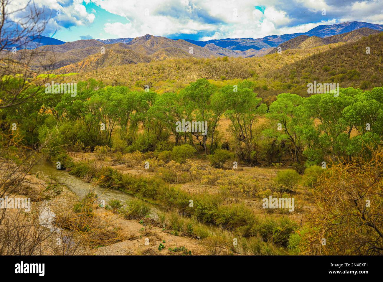 cloudy landscape with trees Alamo de rio or Sicomoro a valley between ...