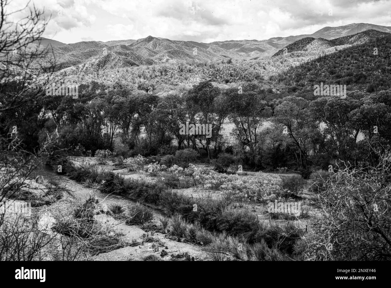 cloudy landscape with trees Alamo de rio or Sicomoro a valley between ...