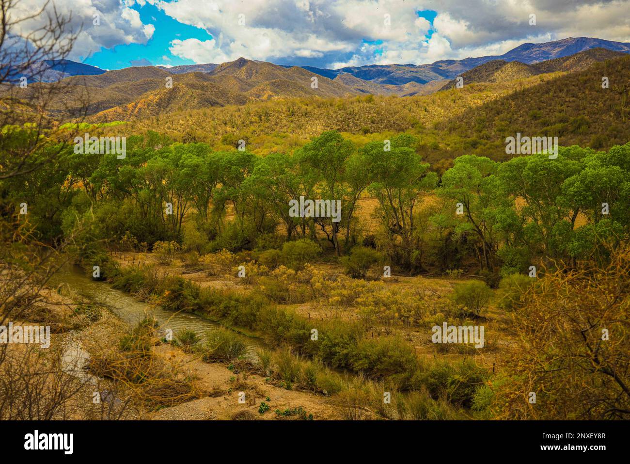 cloudy landscape with trees Alamo de rio or Sicomoro a valley between ...