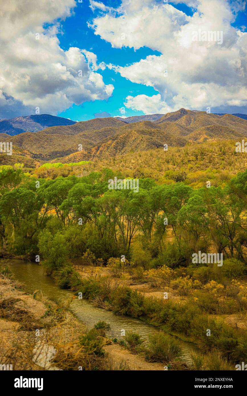 cloudy landscape with trees Alamo de rio or Sicomoro a valley between ...