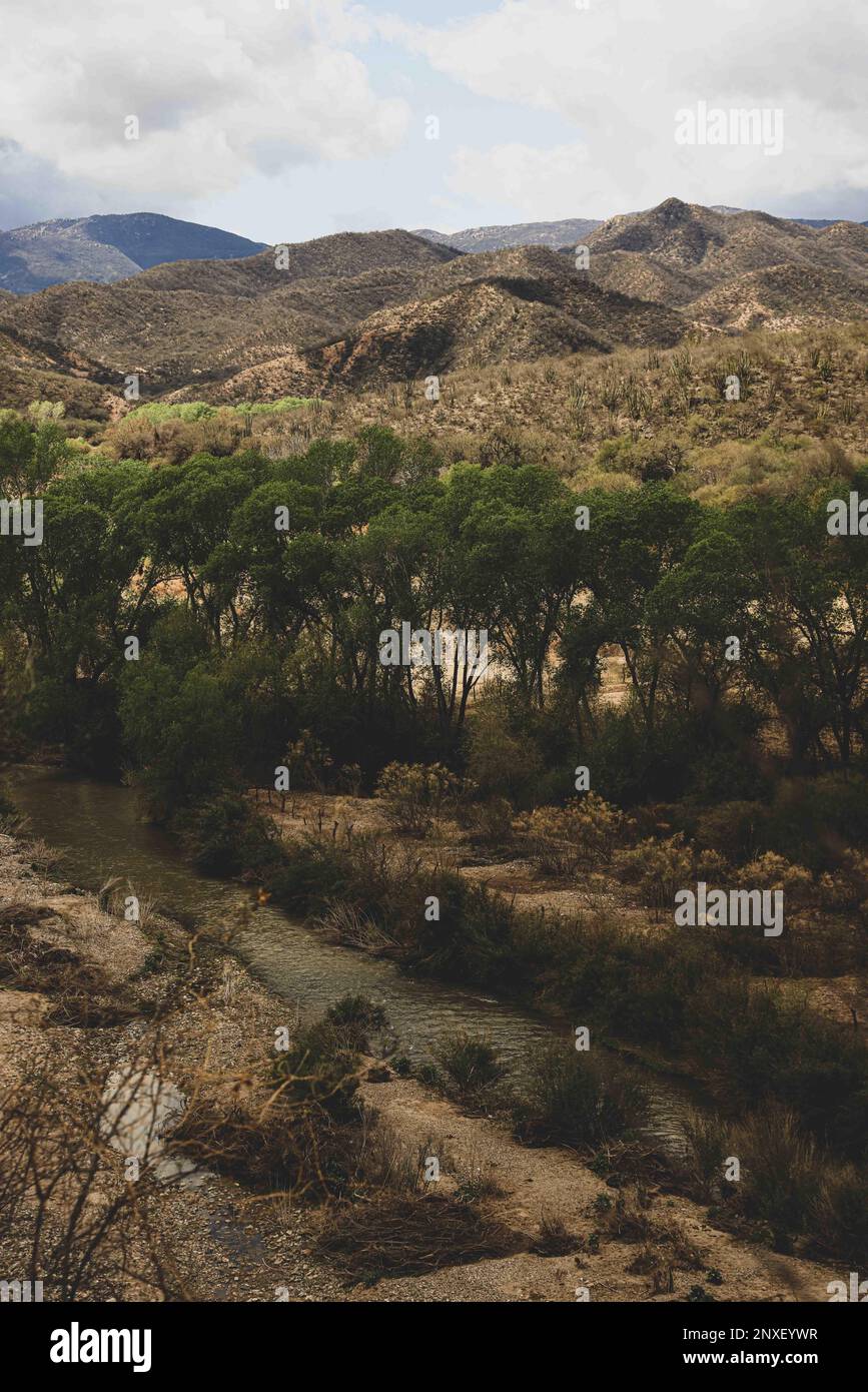 cloudy landscape with trees Alamo de rio or Sicomoro a valley between ...