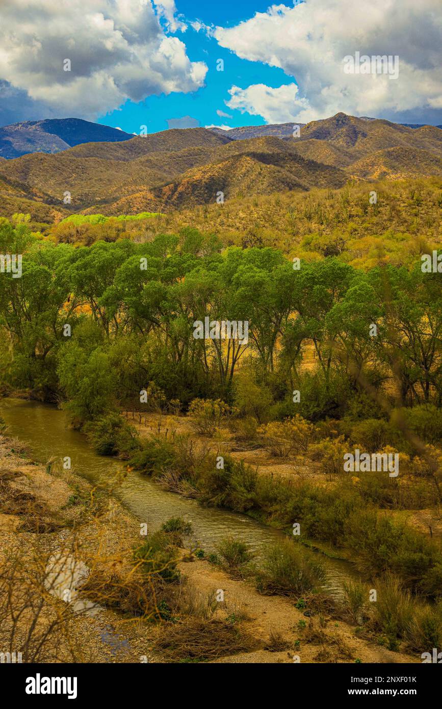 cloudy landscape with trees Alamo de rio or Sicomoro a valley between ...