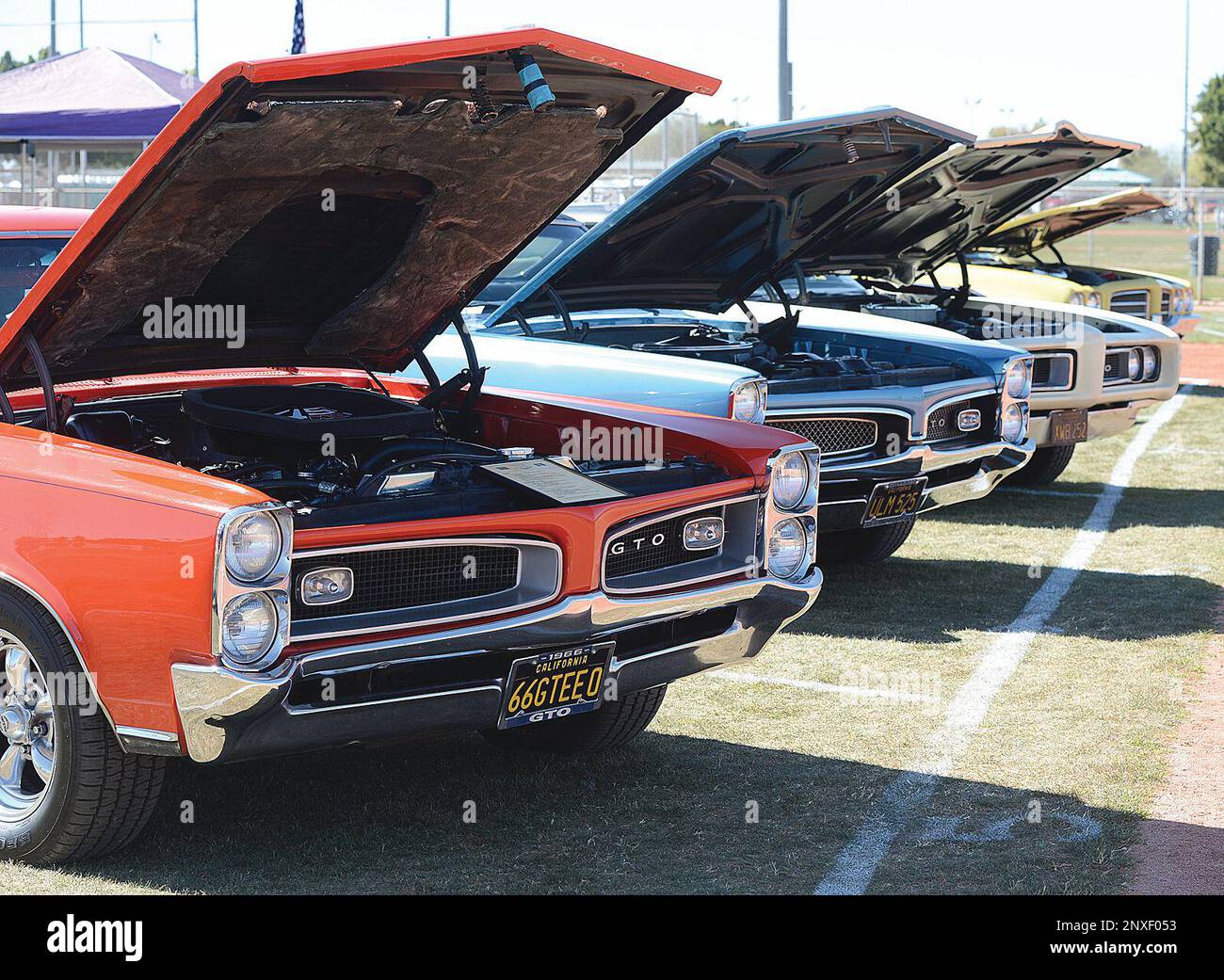 A row of Pontiac GTOs line up Friday afternoon on the infield grass on ...
