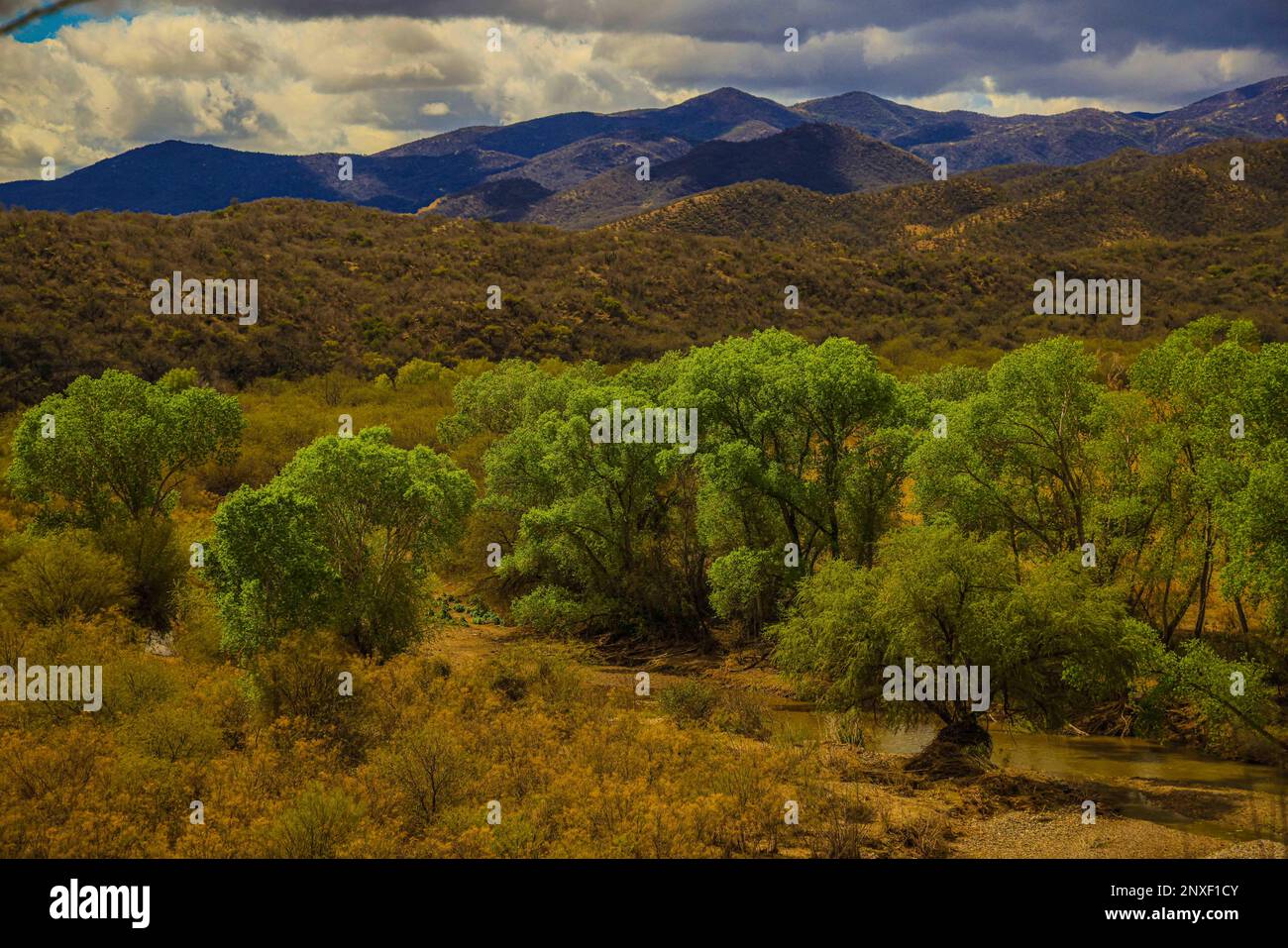 cloudy landscape with trees Alamo de rio or Sicomoro a valley between ...