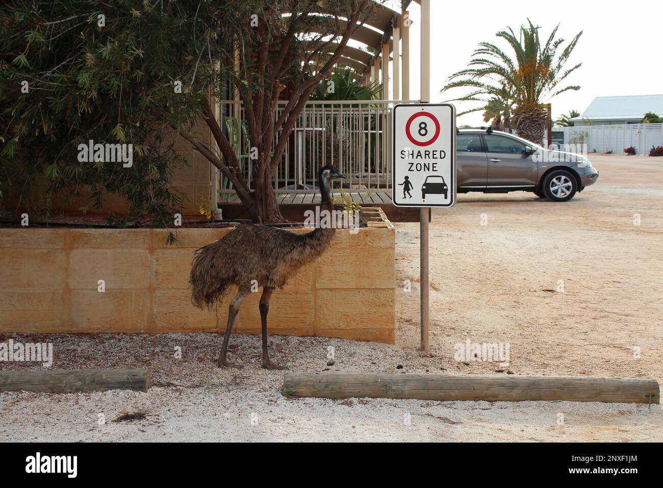 Oiseau bay hi-res stock photography and images - Alamy