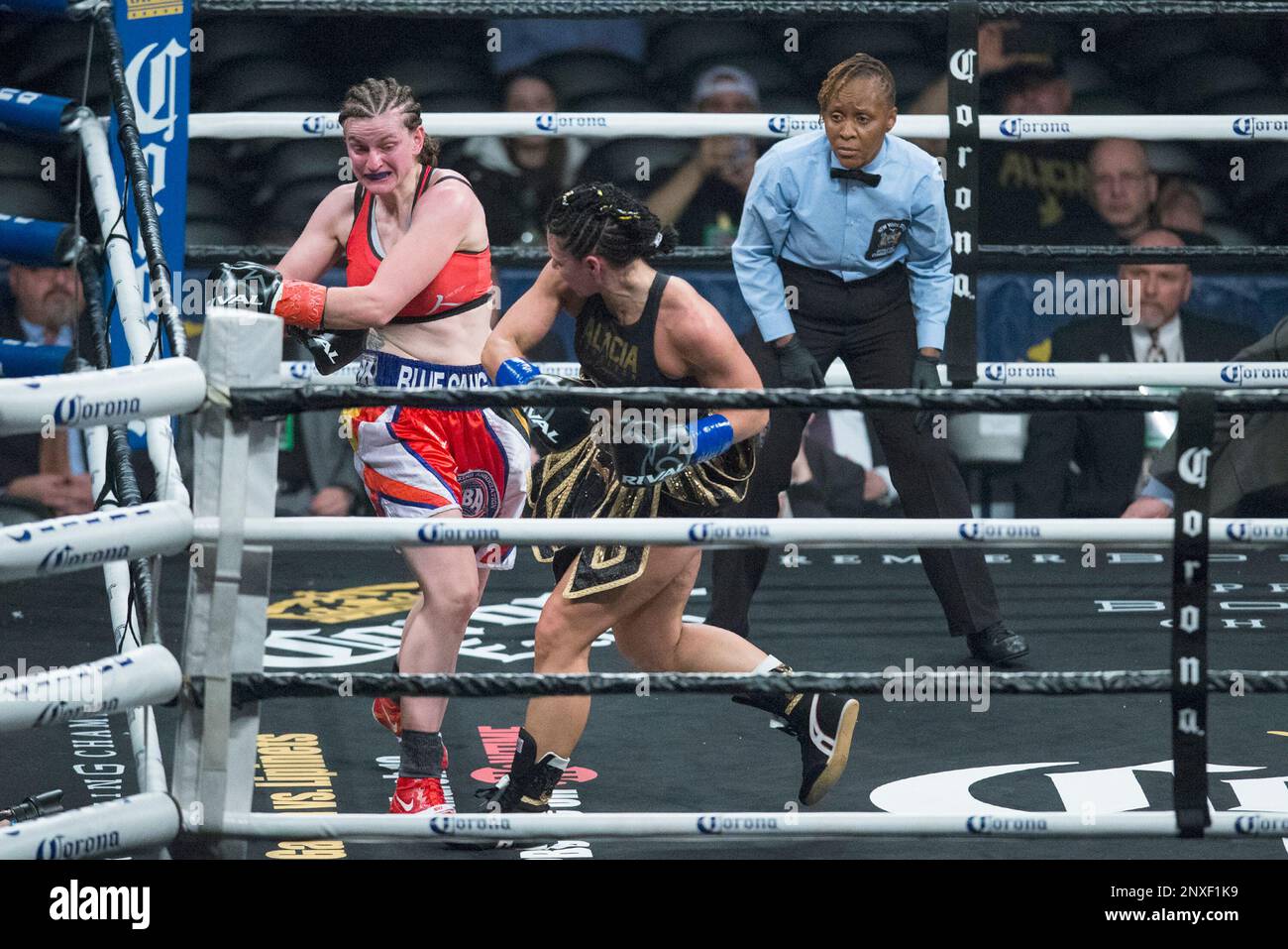 Female boxer Alicia Napoleon (R) fights Femke Hermans during the WBC ...
