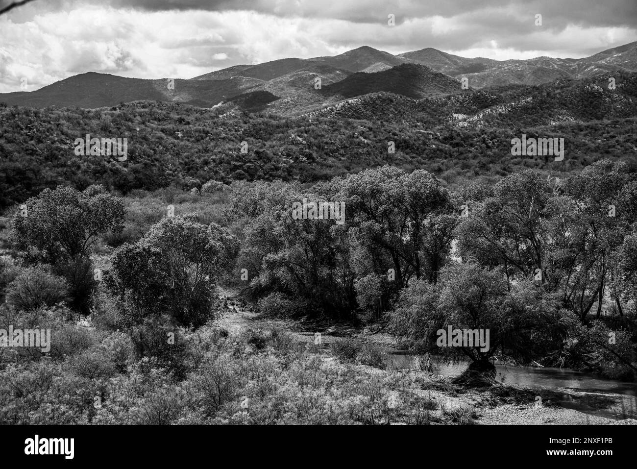 cloudy landscape with trees Alamo de rio or Sicomoro a valley between ...
