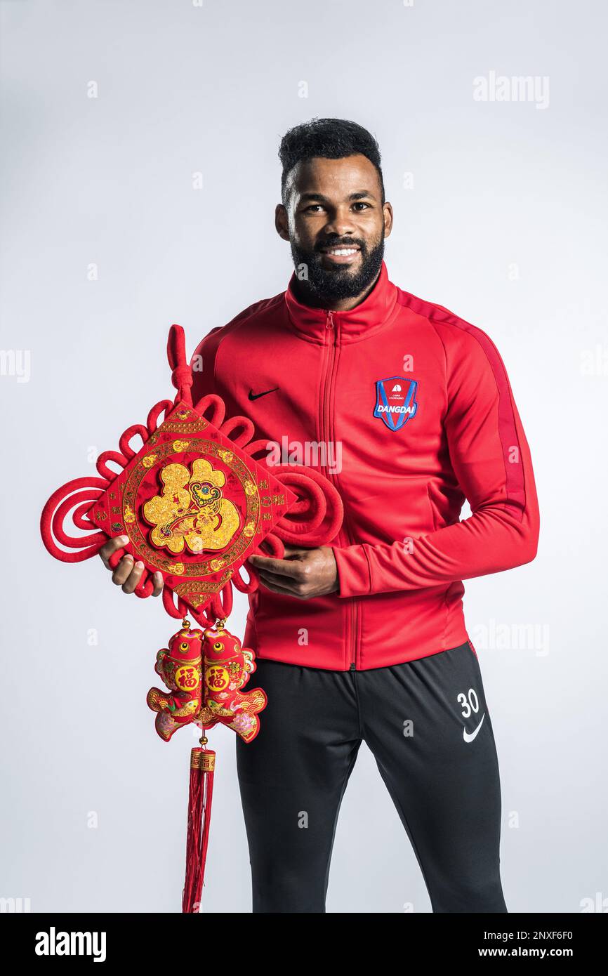 **EXCLUSIVE**Portrait of Brazilian soccer player Luiz Fernandinho of ...