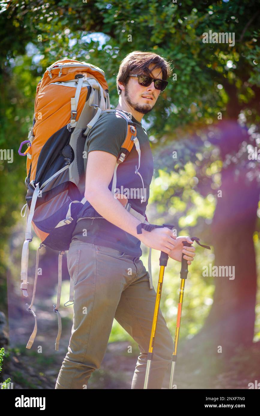 Forest walk and camping adventures Stock Photo - Alamy
