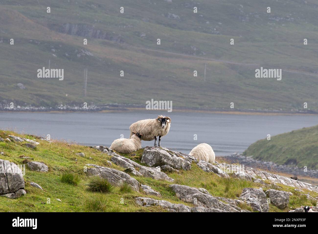 Loch roag beag scotland hi-res stock photography and images - Alamy