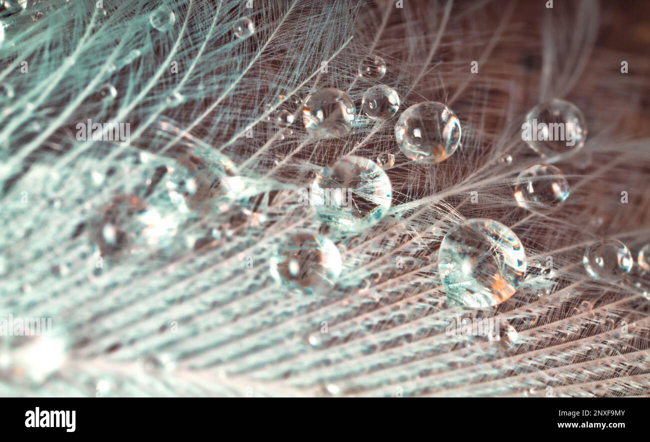 Stone and harl hi-res stock photography and images - Alamy