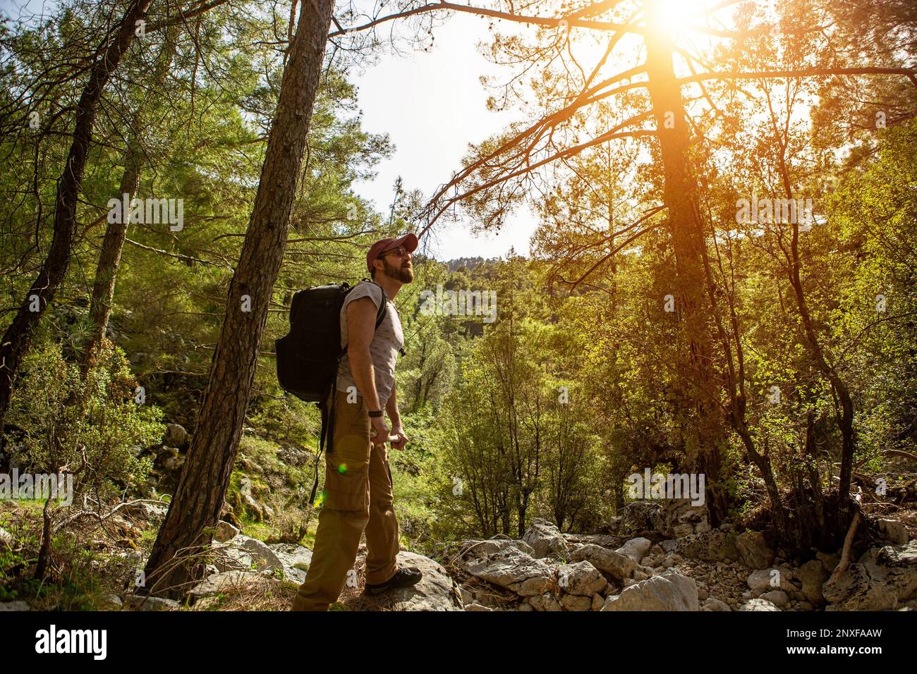 Forest walk and camping adventures Stock Photo - Alamy