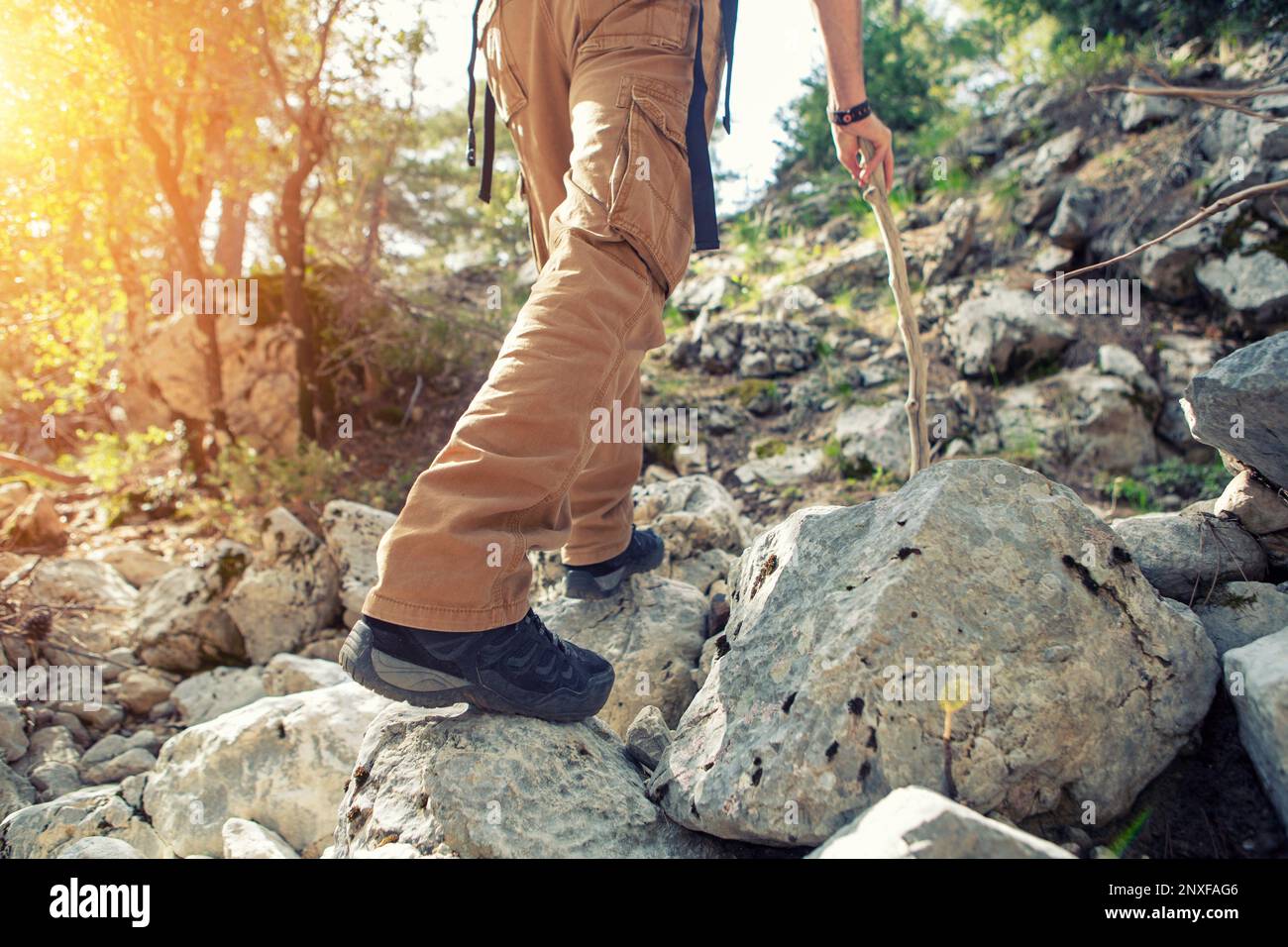 Forest walk and camping adventures Stock Photo - Alamy