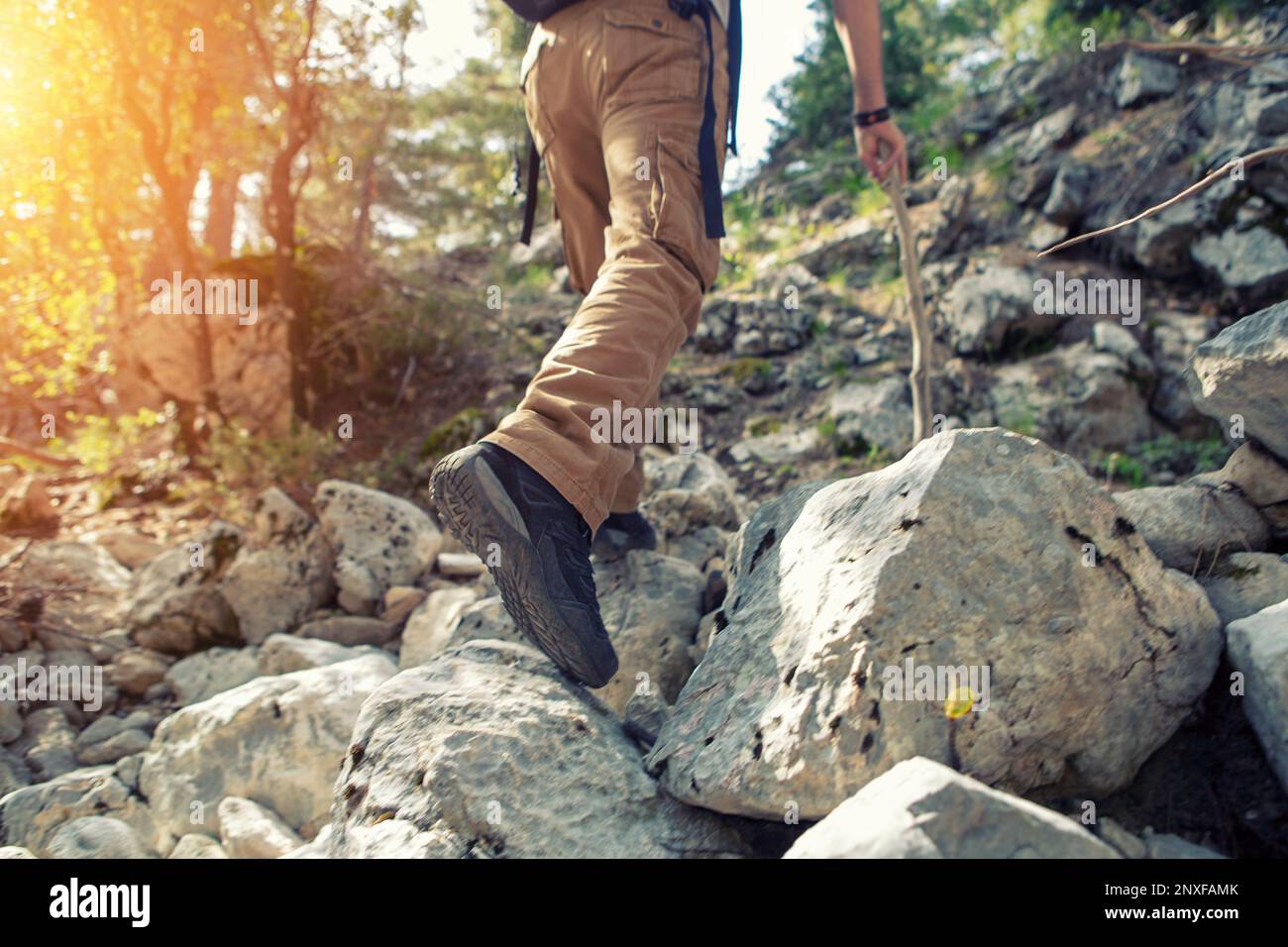 Forest walk and camping adventures Stock Photo - Alamy