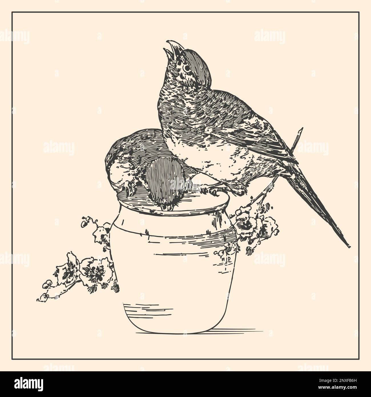 Hand drawn drinking sparrow birds monochrome card. Illustration of ...
