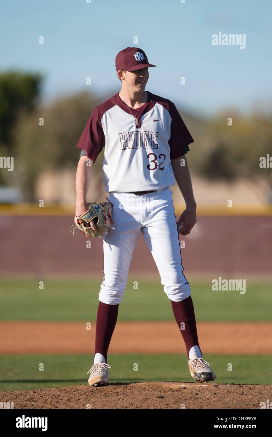 Mountain Ridge Mountain Lions starting pitcher Matthew Liberatore (32 ...