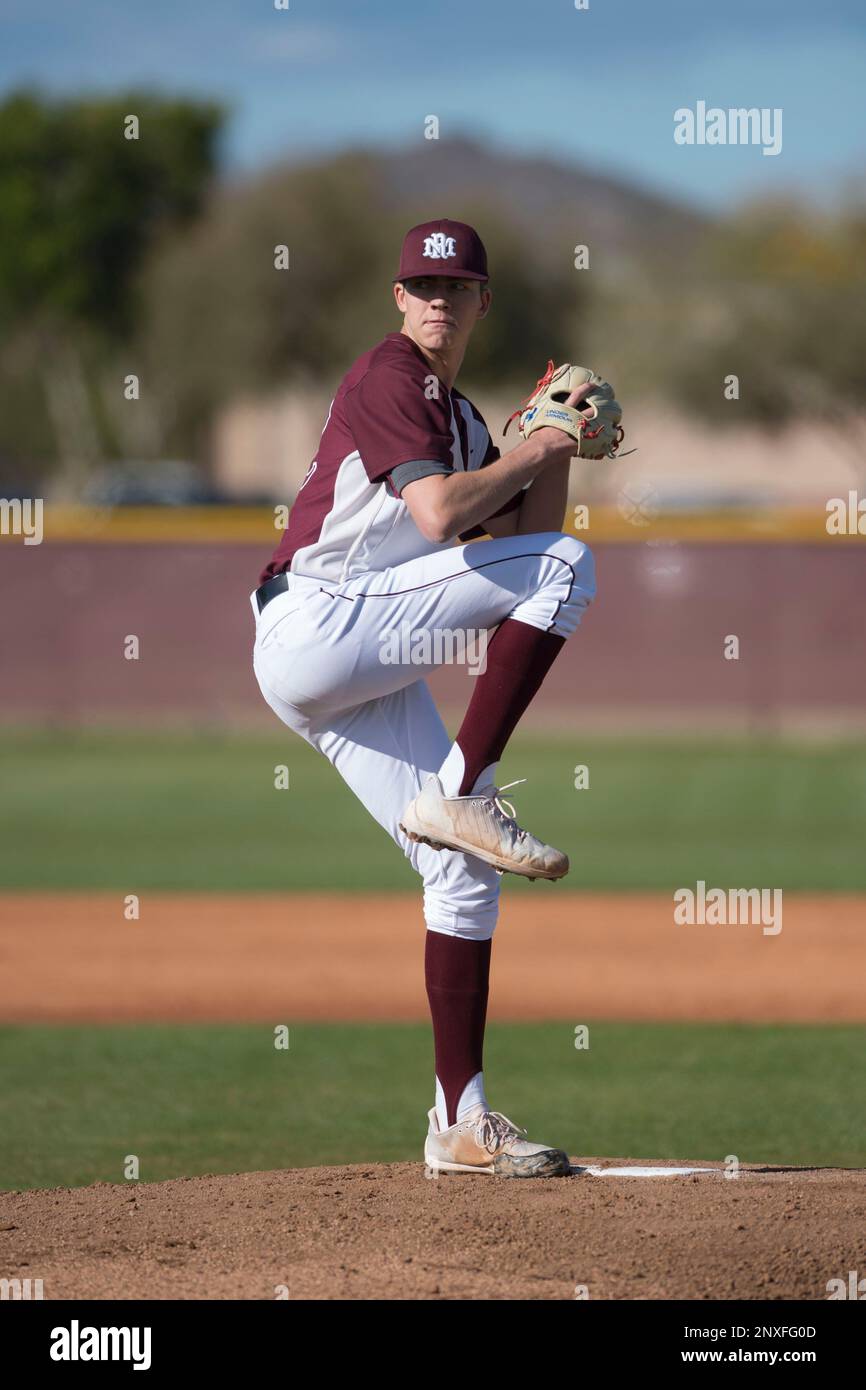 Mountain Ridge Mountain Lions starting pitcher Matthew Liberatore (32 ...