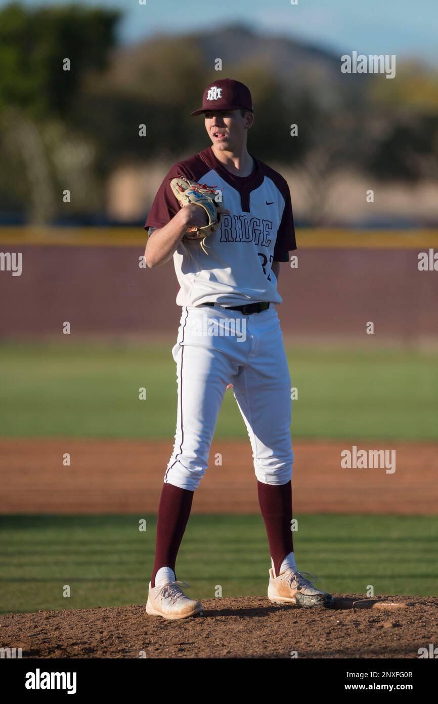 Mountain Ridge Mountain Lions starting pitcher Matthew Liberatore (32 ...