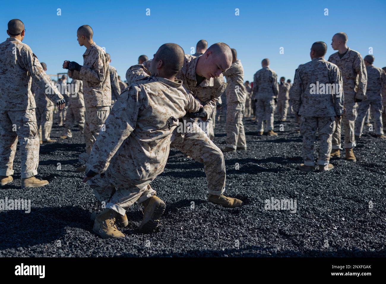 U.S. Marine Corps recruits with Alpha Company, 1st Recruit Training ...