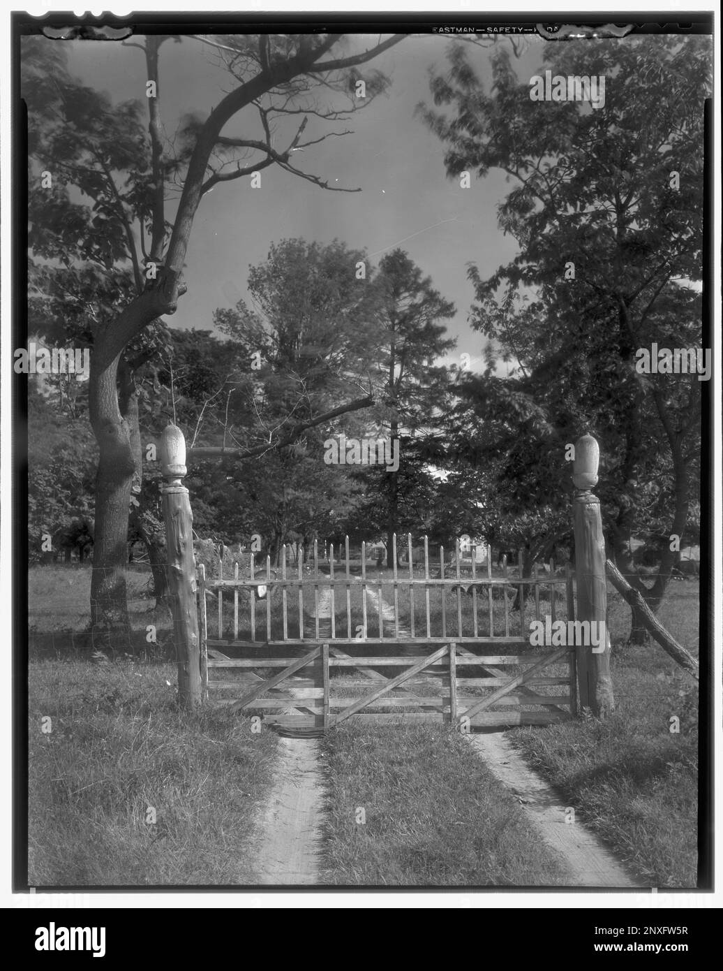 The ornamental carvings Black and White Stock Photos & Images - Alamy