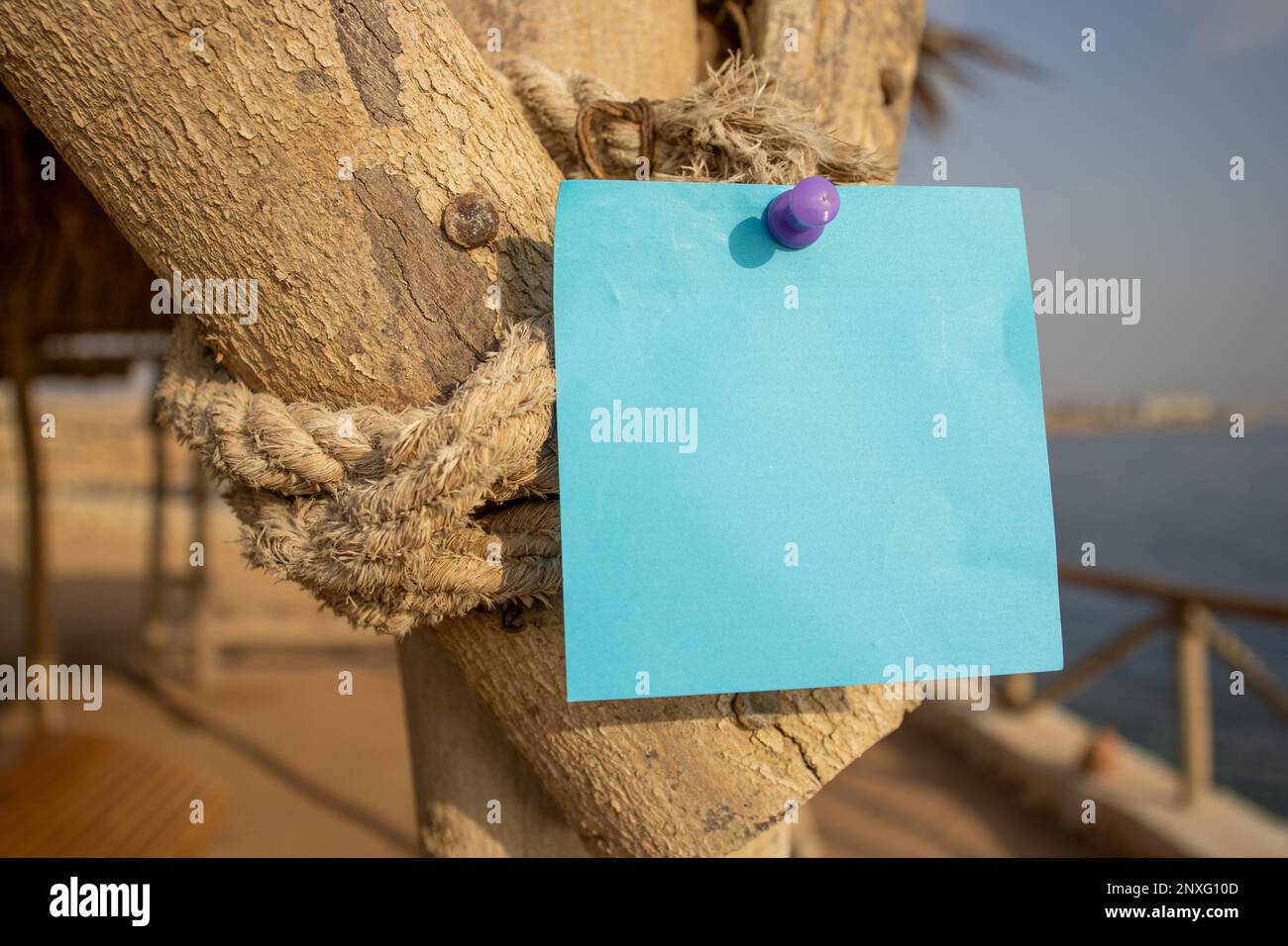 rope with wooden post and a blue square paper note with empty free ...