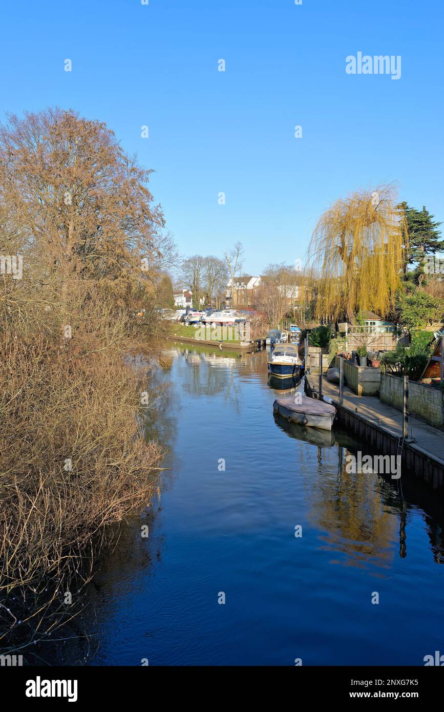 Gardens of private houses backing onto the River Wey at Weybridge on a ...