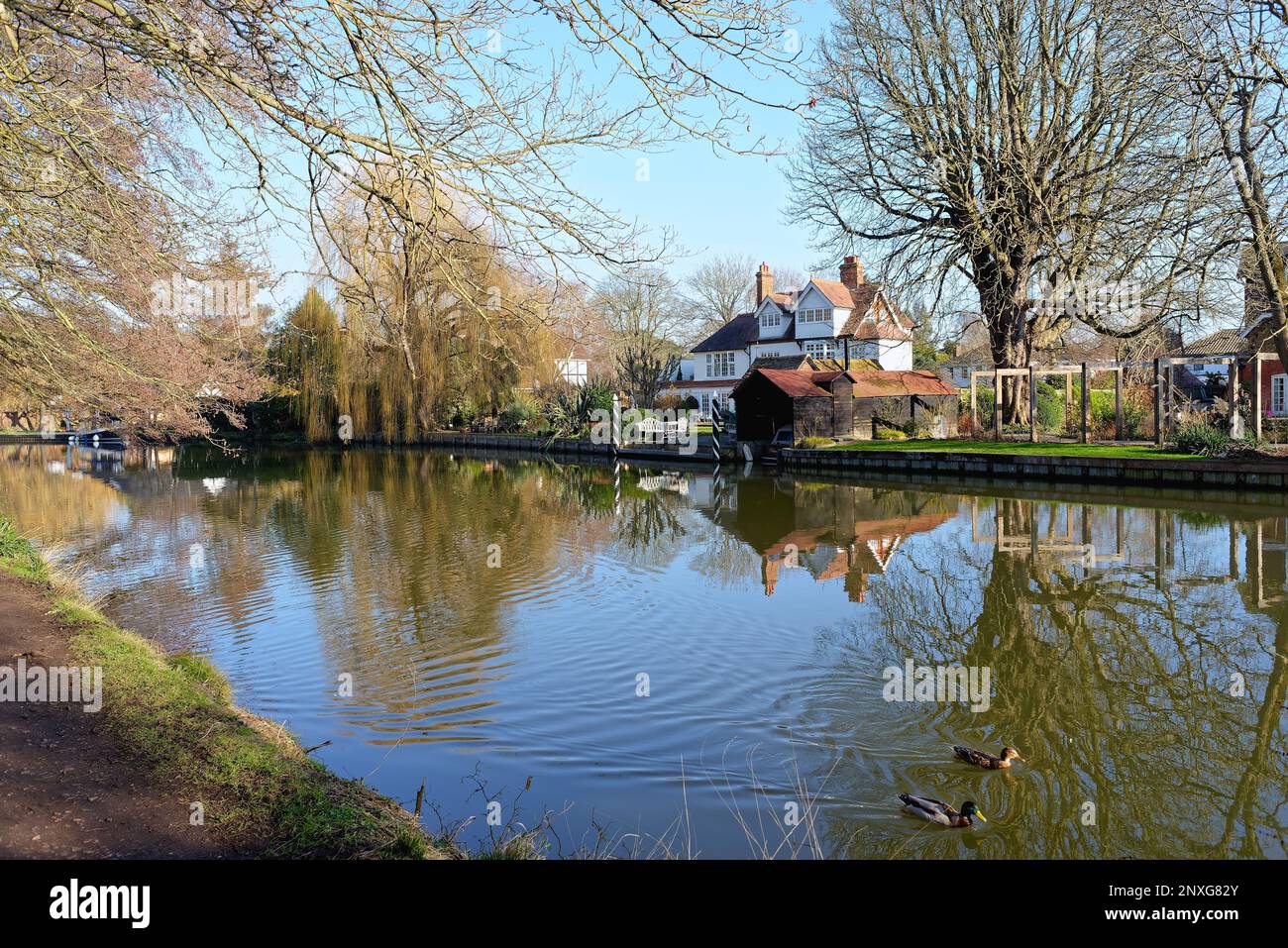 The peaceful and quiet backwater of the River Wey navigation canal at ...