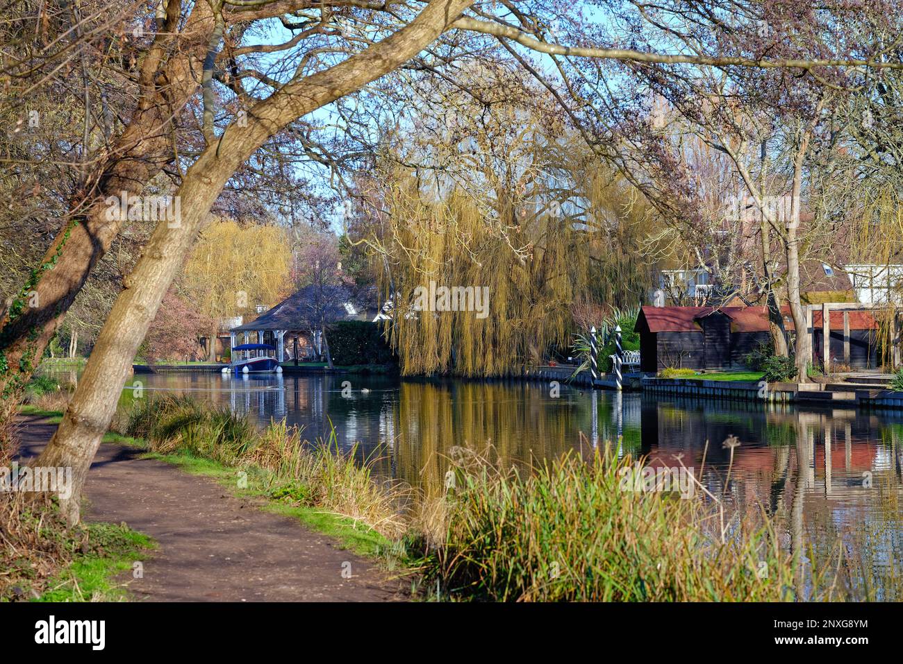 The peaceful and quiet backwater of the River Wey navigation canal at ...