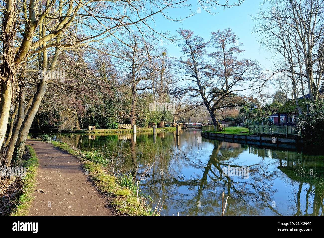 The peaceful and quiet backwater of the River Wey navigation canal at ...