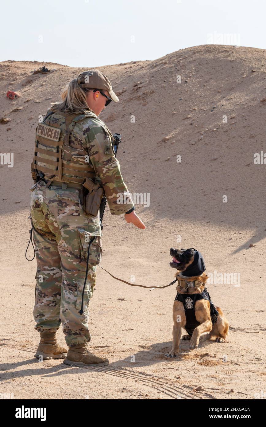 U.S. Air Force Staff Sgt. Jordan Courtney, 378th Expeditionary Security ...