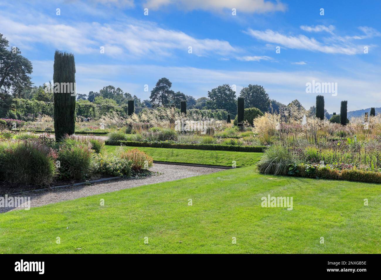 Sunlight shining through the vegetation at Trentham Gardens, Stoke-on ...