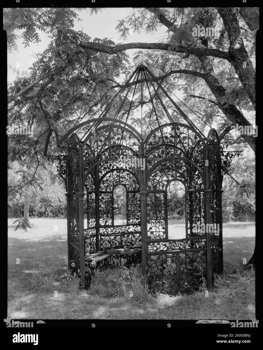 Mount Airy, Warsaw vic., Richmond County, Virginia. Carnegie Survey of ...