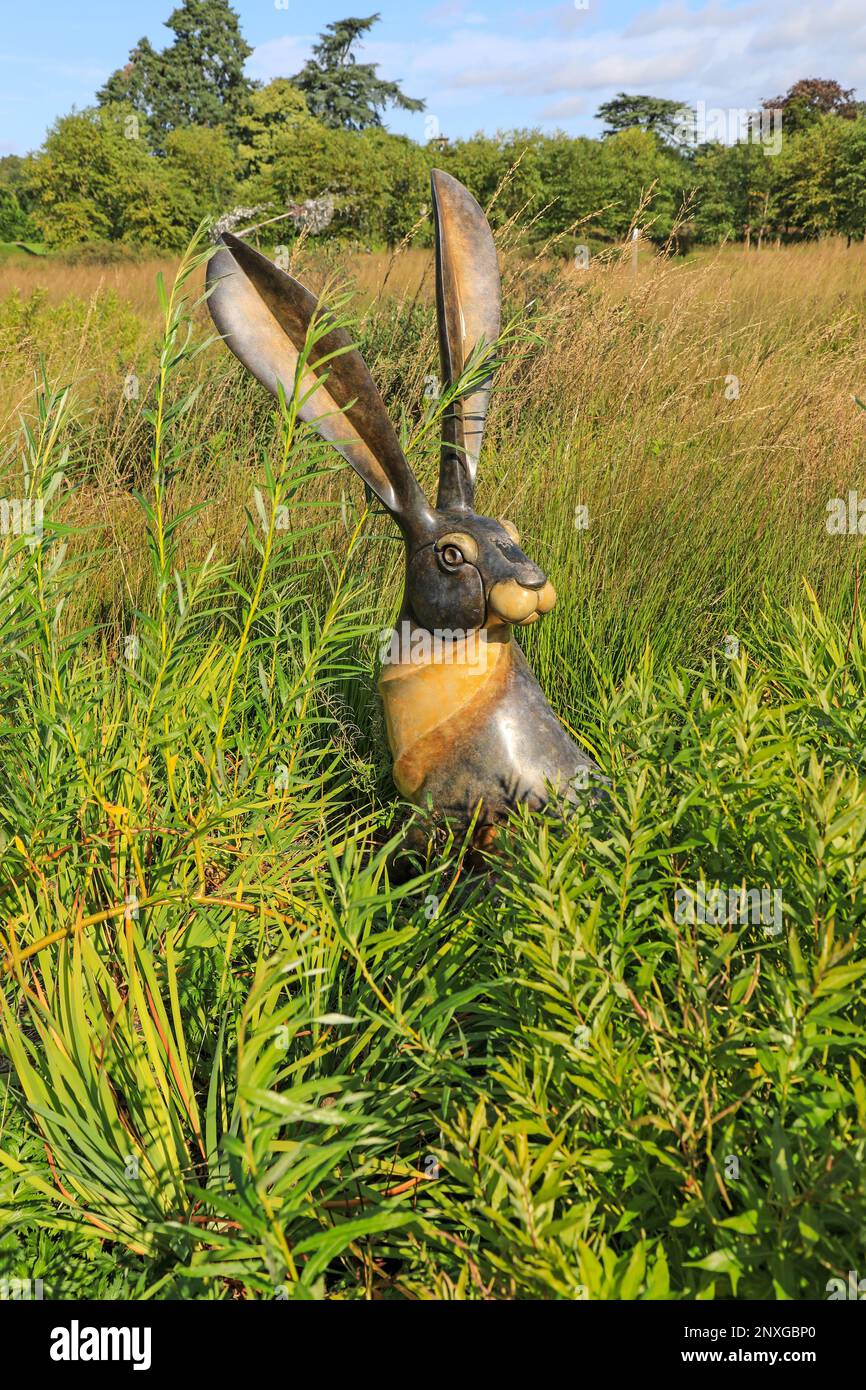 A bronze nature sculpture of a Hare by David Meredith, Trentham Gardens ...